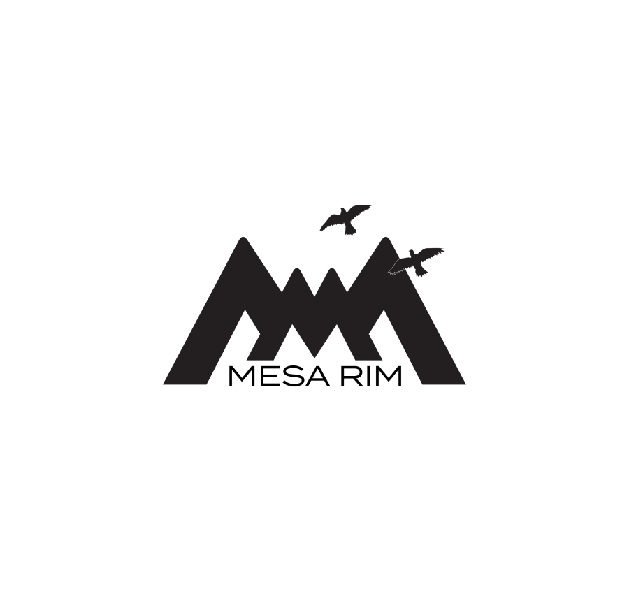 Mesa Rim Climbing Centers - HSA / FSA eligible for qualified customers ...